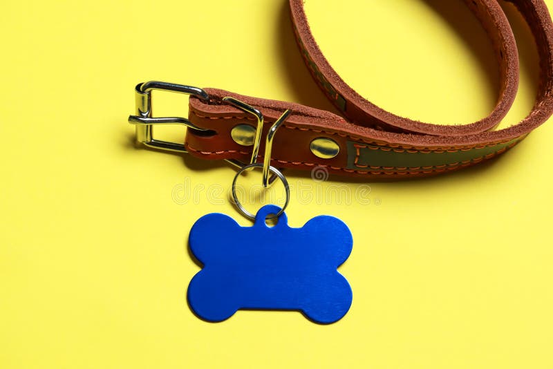 Leather Dog Collar with Blue Tag in Shape of Bone on Yellow Background ...