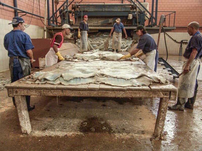 Leather factory editorial image. Image of locations, industry - 60271635