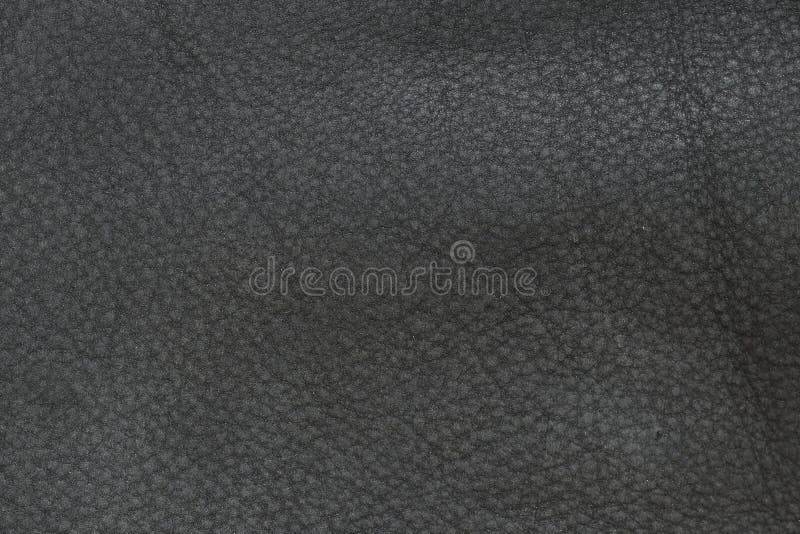 Leather jacket texture. stock photo. Image of clothing - 226305316