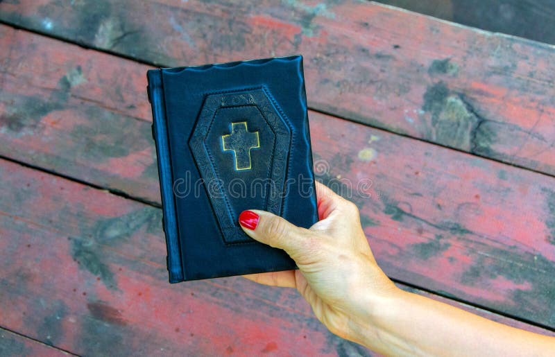 Empty Vampire Coffin Stock Photos - Free & Royalty-Free Stock Photos ...