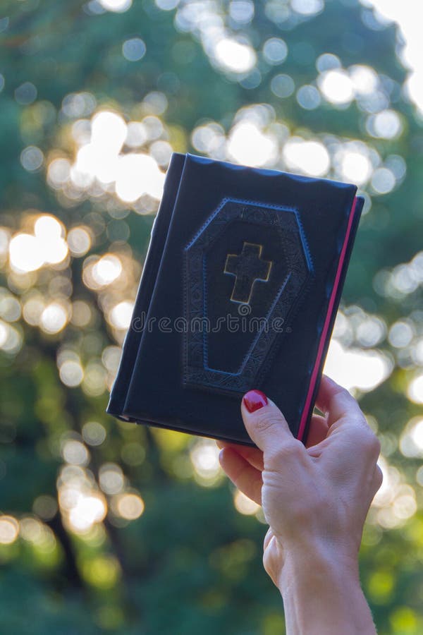 Empty Vampire Coffin Stock Photos - Free & Royalty-Free Stock Photos ...