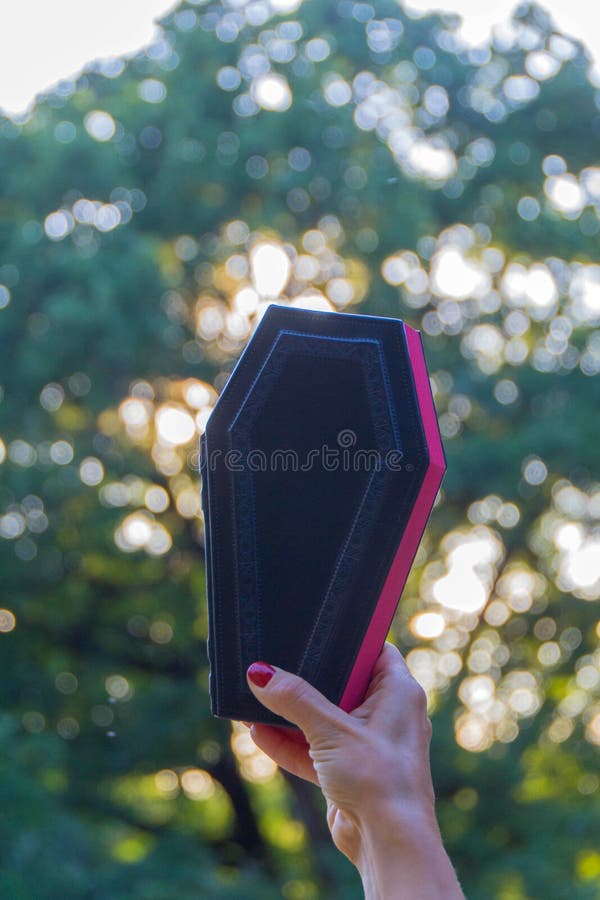 Empty Vampire Coffin Stock Photos - Free & Royalty-Free Stock Photos ...