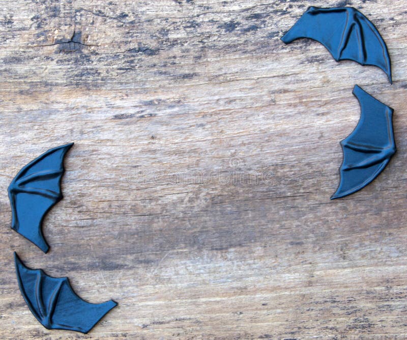 Real Bat Wings Texture