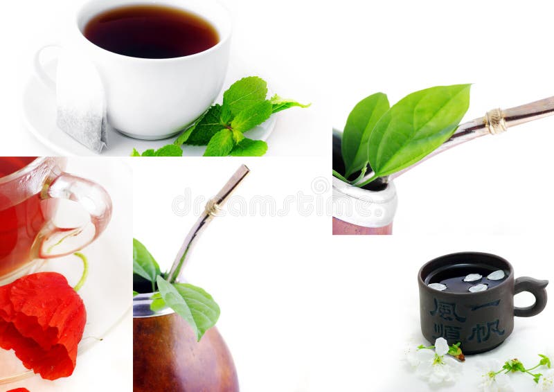 Isolated Leather Mate stock image. Image of ritual, infusion - 11747407