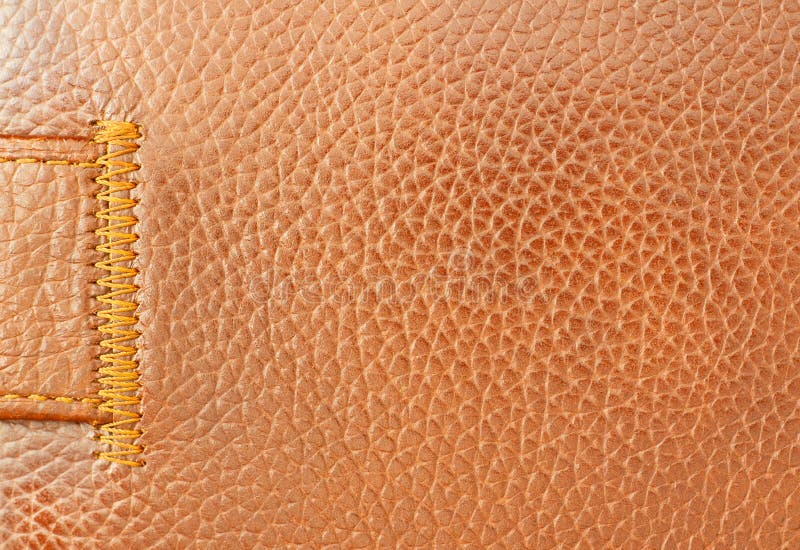Leather purse. stock photo. Image of natural, macro, business - 26670528