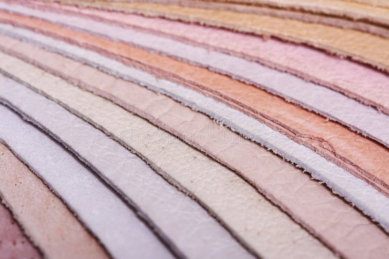 Leather samples stock image. Image of swatch, magnification - 11152129