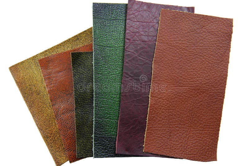 Leather samples stock photo. Image of natural, clothing - 24177712