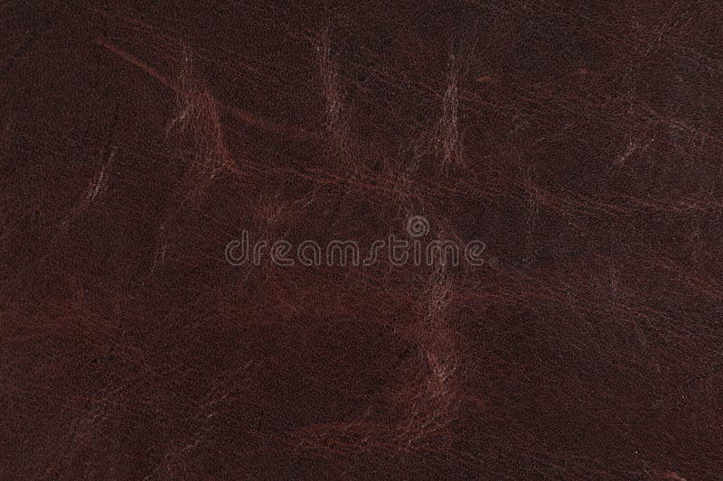 Leather, skin, texture stock photo. Image of abstract - 87372770