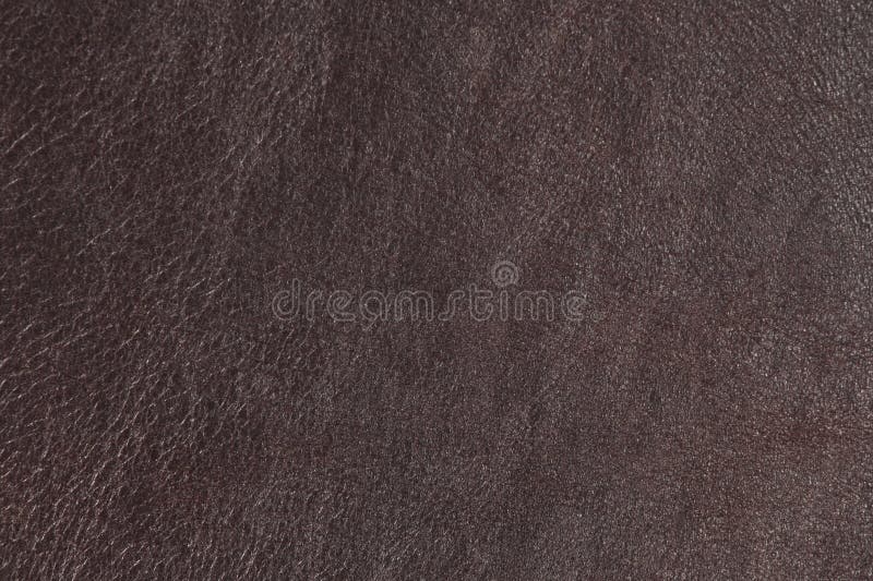 Leather, skin, texture stock photo. Image of abstract - 87750860