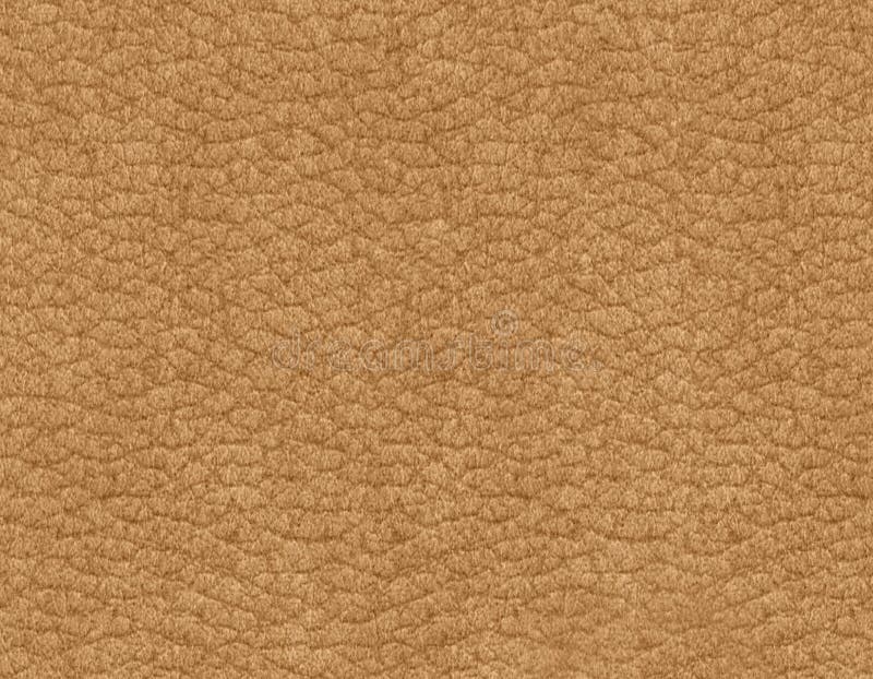 Human Skin Texture Close Up Stock Image - Image of macro, skin: 149468831
