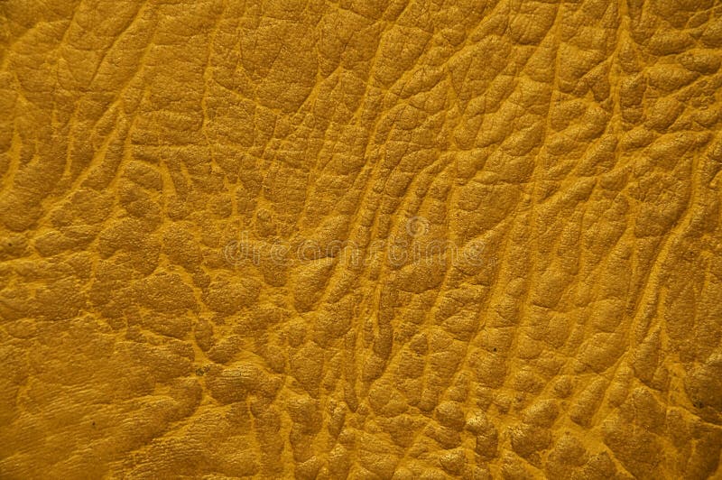Leather skin textured stock photo. Image of skin, grained - 11524716