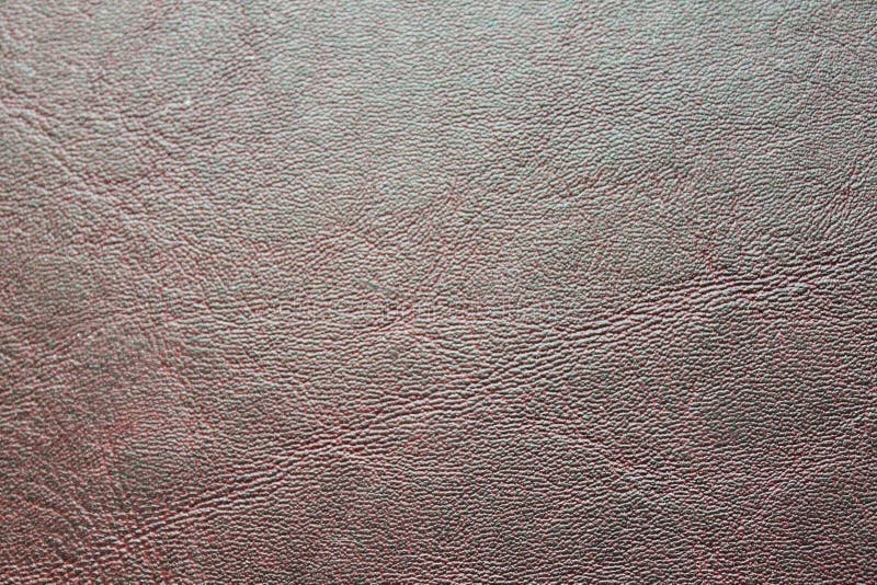 Leather Surface Design Backdrop Rough Element Stock Image - Image of ...