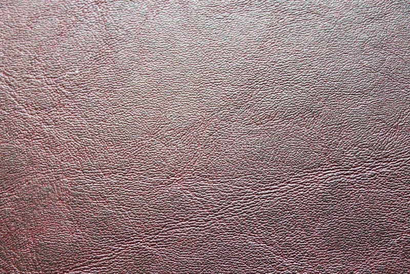 Leather Surface Design Backdrop Rough Element Stock Image - Image of ...