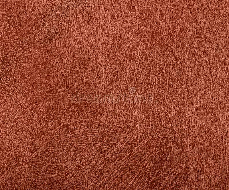Leather surface stock photo. Image of structured, abstract - 67047668