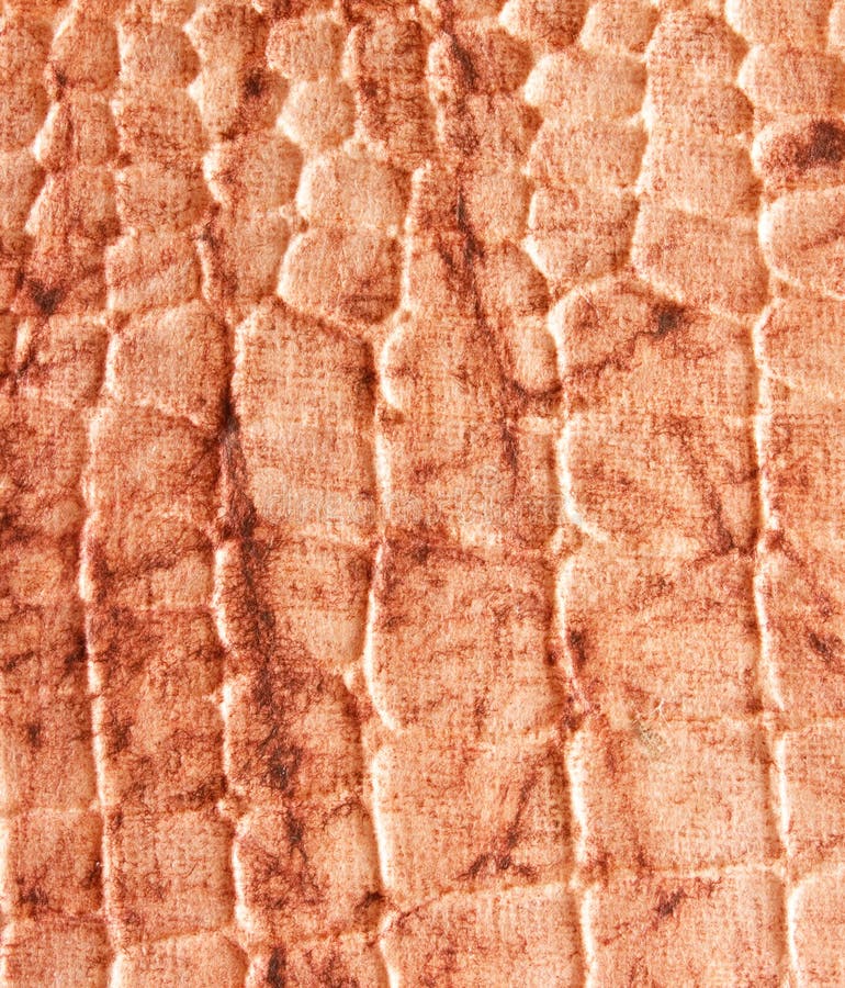 Bruised skin texture stock photo. Image of inflammation - 3145948