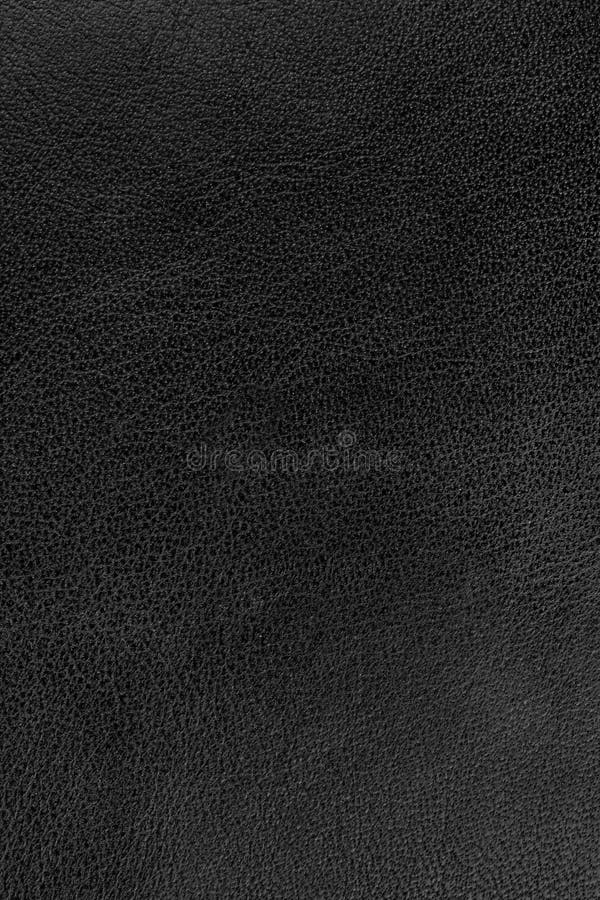 Leather texture stock photo. Image of natural, texture - 13550284
