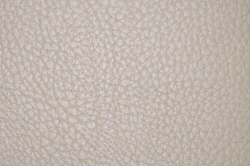 Coral texture stock photo. Image of egypt, vivid, marine - 31092090