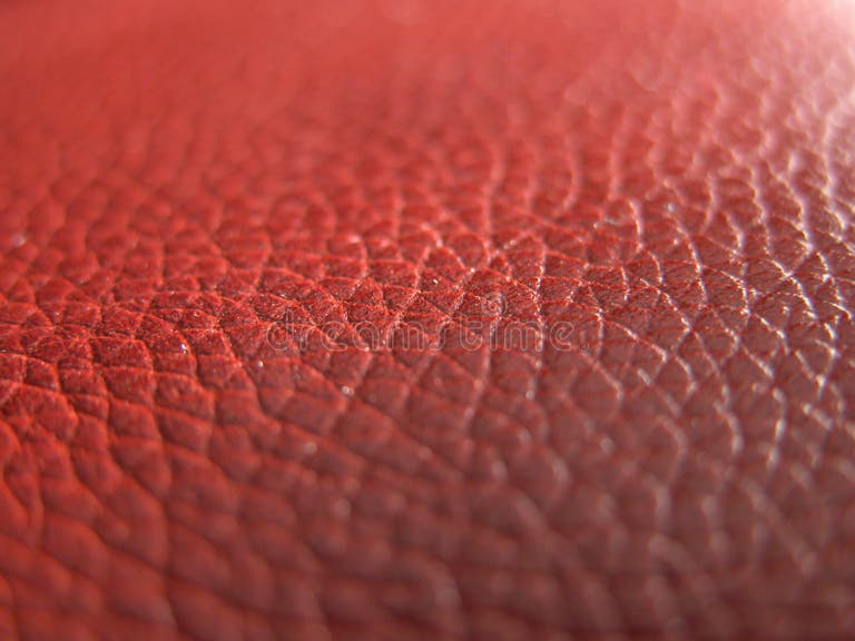 1,430 Pig Skin Texture Stock Photos - Free & Royalty-Free Stock Photos ...