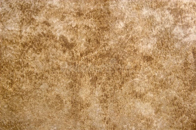 Rawhide Buffalo Leather, XXL Size Background Stock Image - Image of ...