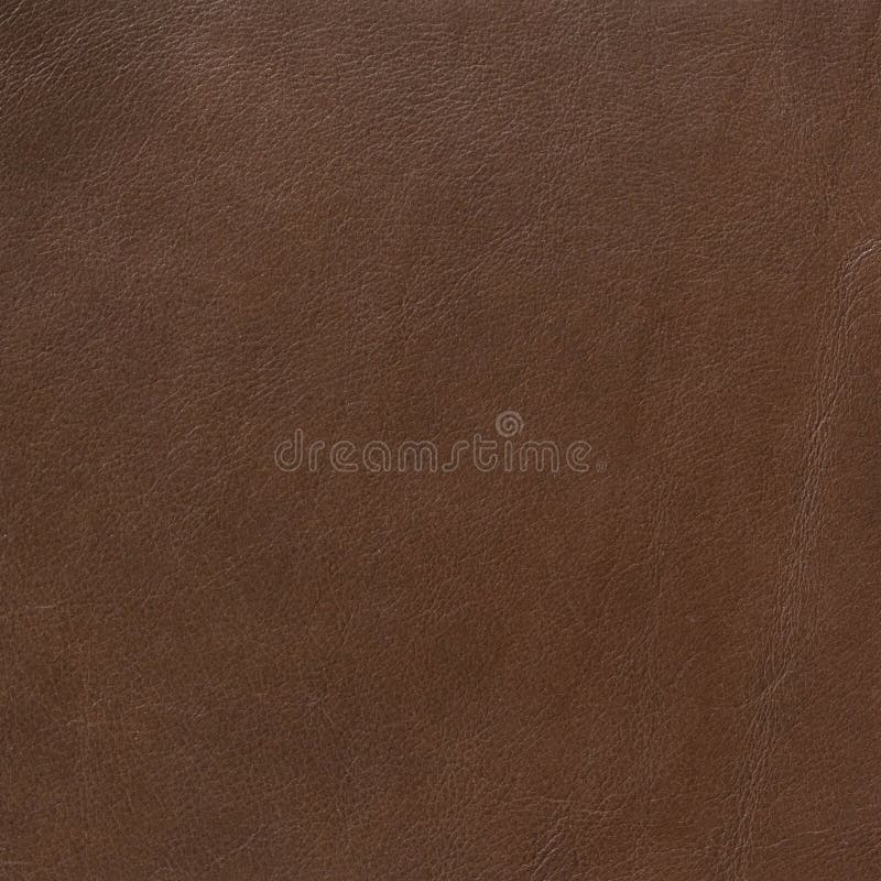 Leather Texture Background for Fashion Design. Stock Image - Image of ...