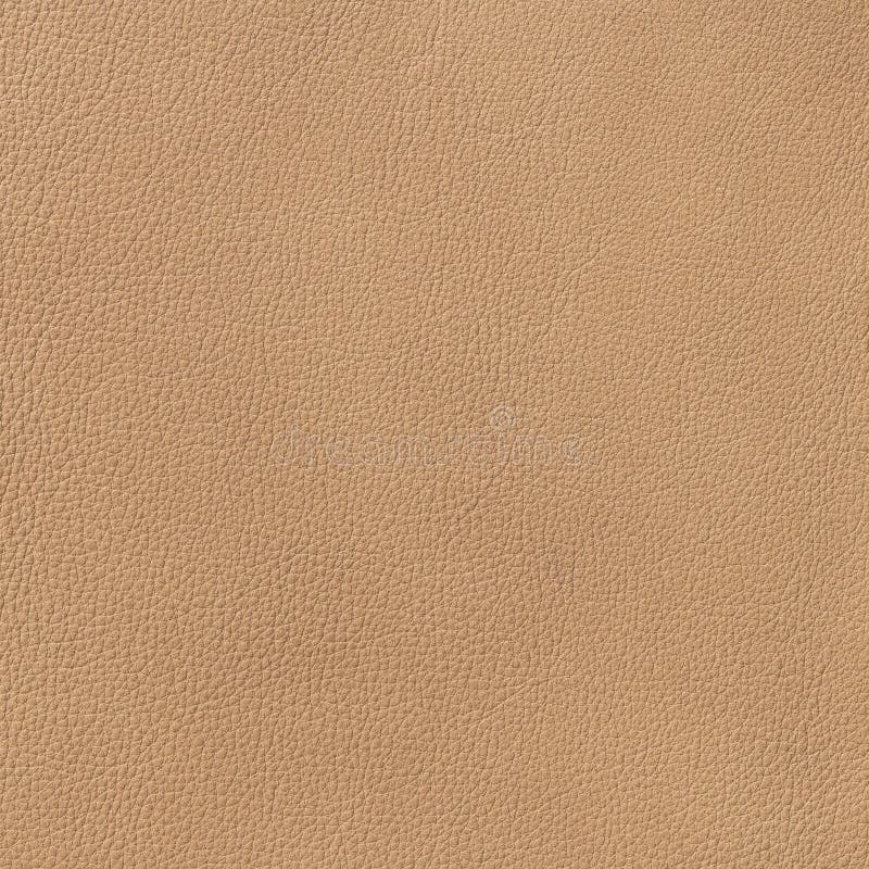 Leather Texture Background for Fashion Design. Stock Photo - Image of ...