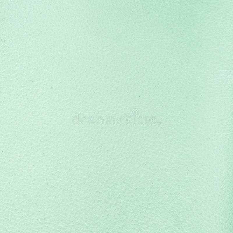 Bamboo Leaf Green Color Pictures And Images - RGB Color Hex Code [# ...