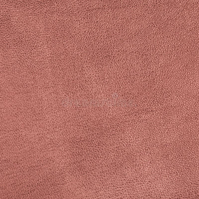 141 Goatskin Texture Stock Photos - Free & Royalty-Free Stock Photos ...