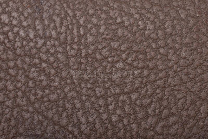 Leather Texture with Grained Structure, Stock Photo - Image of industry ...