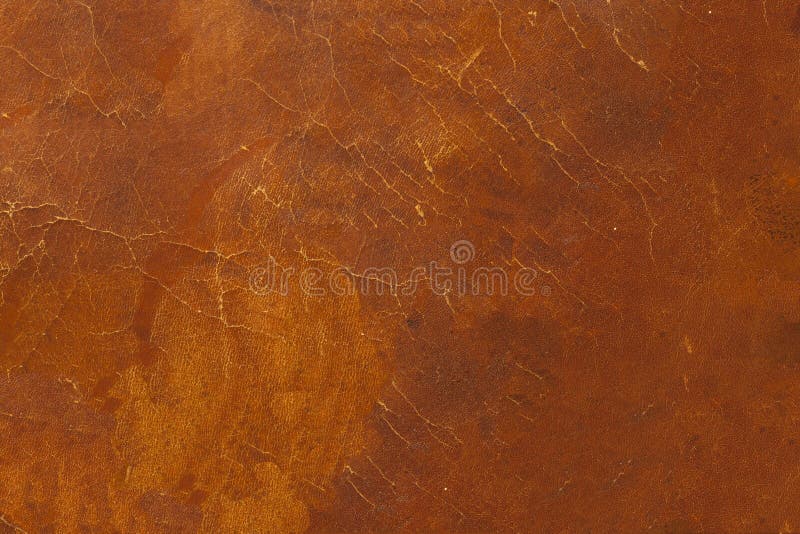 Leather Texture of a Large Leather Surface. Stock Photo - Image of hide ...