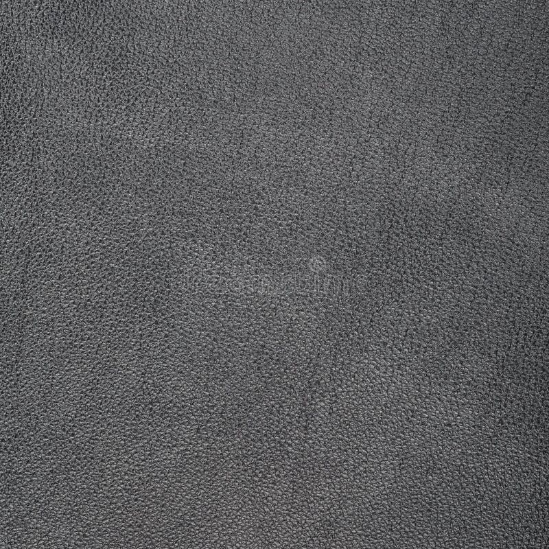 Leather texture stock photo. Image of chamois, closeup - 185539300
