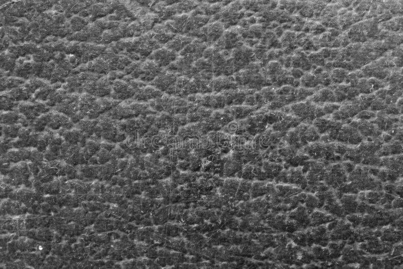 Leather texture material stock image. Image of pattern - 39965409