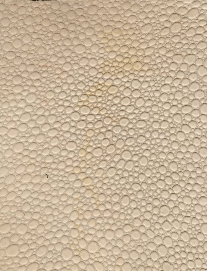 White Leather Dot Texture Background Stock Photo - Image of upholstery ...