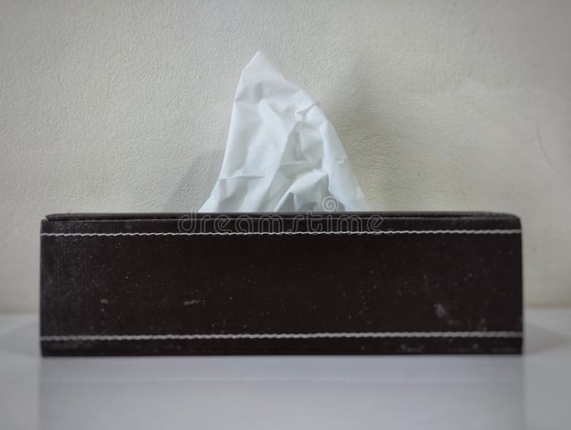 Leather-type Tissue Box with Paper Tissues. the Object, Decoration, and ...