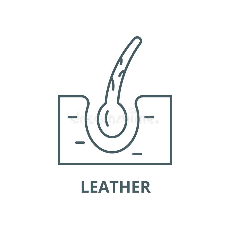 Leather Vector Line Icon, Linear Concept, Outline Sign, Symbol Stock ...