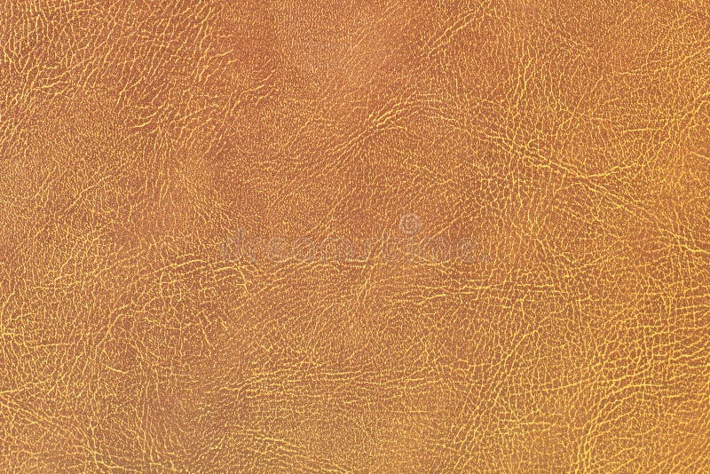 Leatherette background stock photo. Image of diet, macro - 31533200