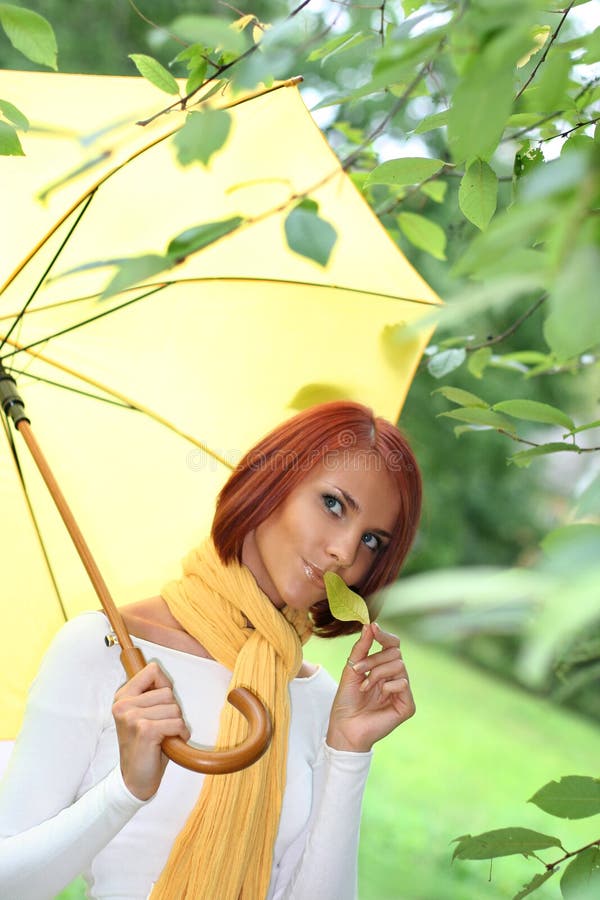 Leave Picture. Image: 6203733