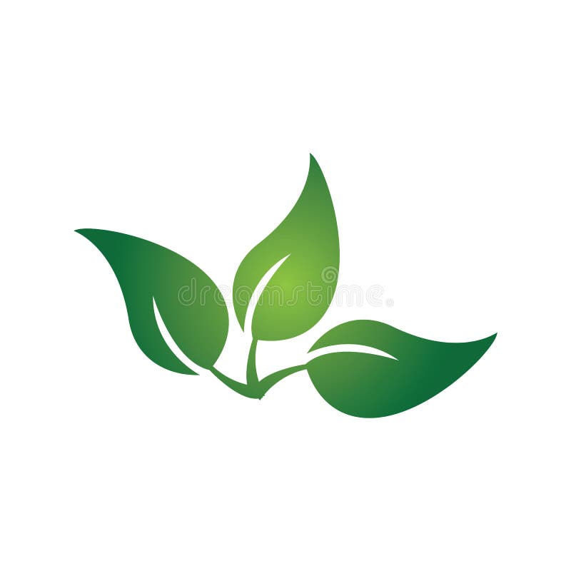 Leave Logo Vector Design and Icon Stock Vector - Illustration of ...