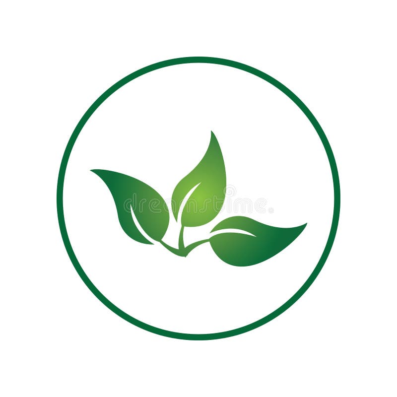 Leave Logo Vector Design and Icon Stock Vector - Illustration of herbal ...