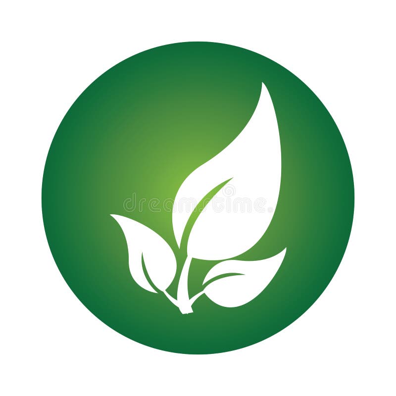 Leave Logo Vector Design and Icon Stock Vector - Illustration of simple ...