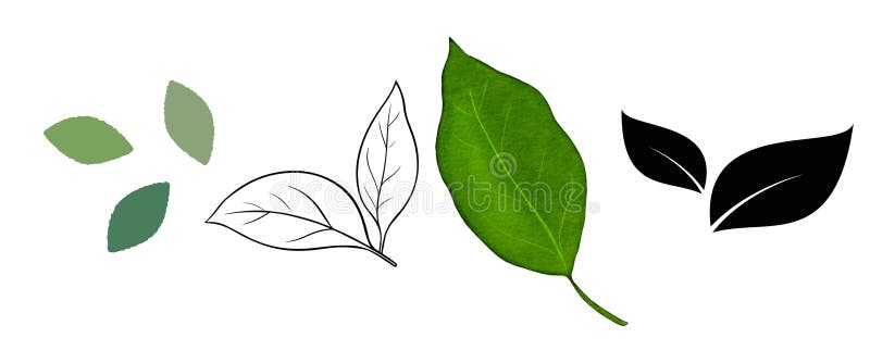 Multiple Shapes of Vectors about Plant Leave Stock Image - Illustration ...