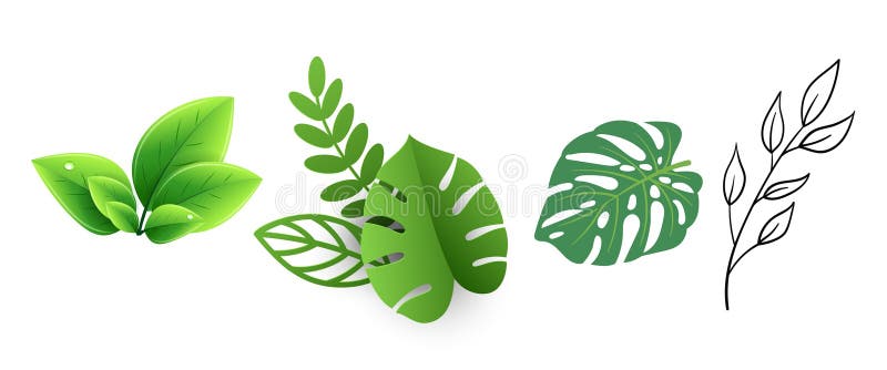 Four Different Leave of Plants Stock Photo - Illustration of four ...