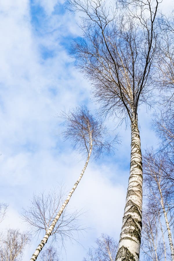 Vertical Pview Stock Photos - Free & Royalty-Free Stock Photos from ...