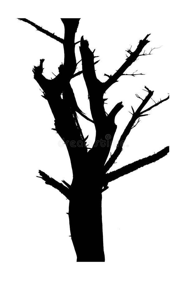 Leaveless Tree Stock Illustrations – 14 Leaveless Tree Stock ...