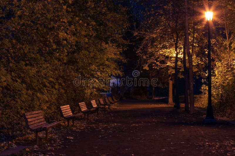 Dark Path Lined with Trees and Benches at Night with Street Light Stock ...