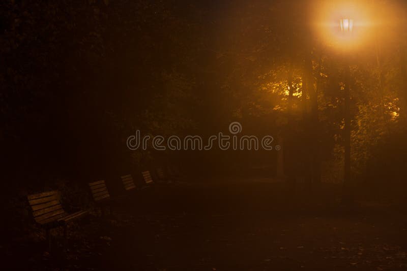 Dark Path Lined with Trees and Benches in Fog at Night with Street ...