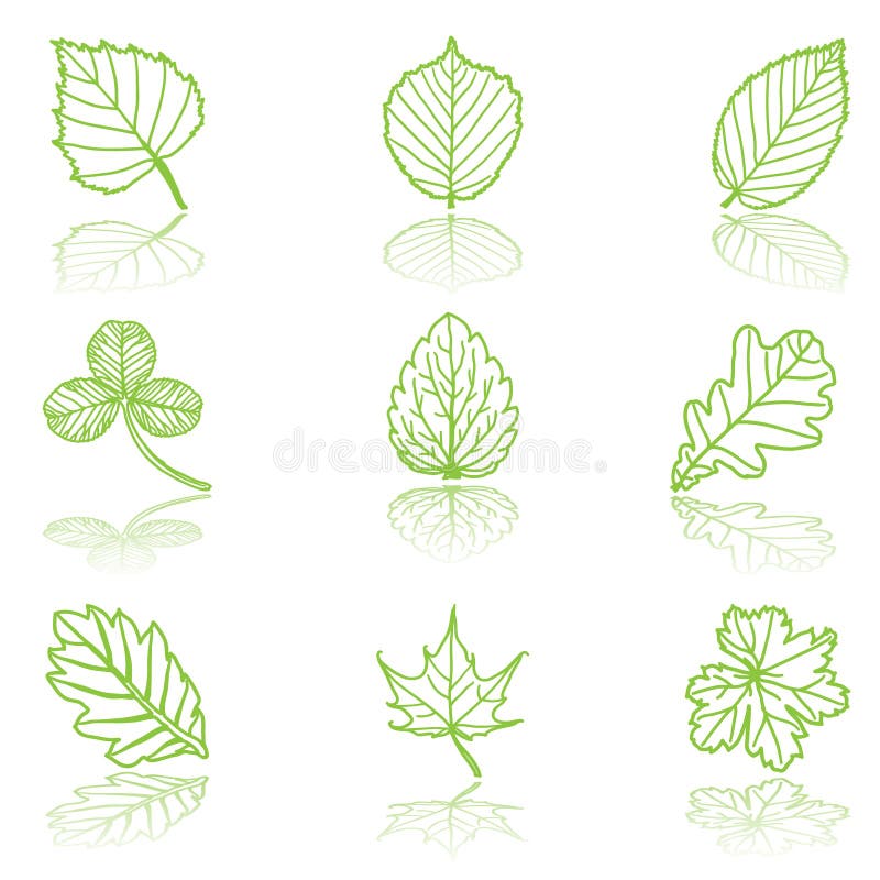 Top View Tree. Landscape Plan Trees with Leaves and Bushes. Garden ...