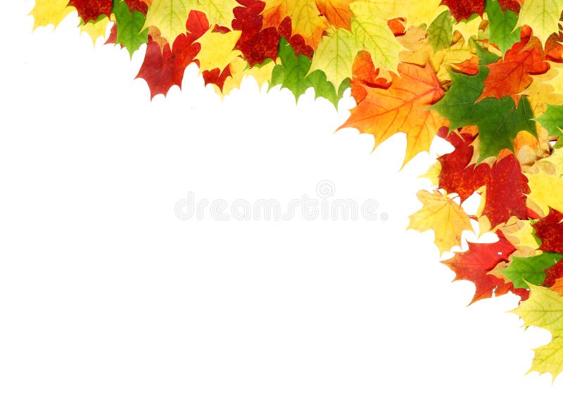 Fall maple leaf border stock photo. Image of orange, grunge - 34465394