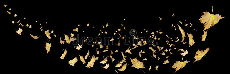 Leaves Autumn Air Wind Isolated Dry for Background Flying Falling Fall ...