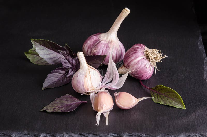 Leaves of Basil and Garlic on Black Stone Table Stock Photo - Image of ...