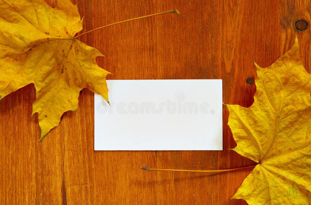 Leaves and blank card stock image. Image of close, list - 3356883